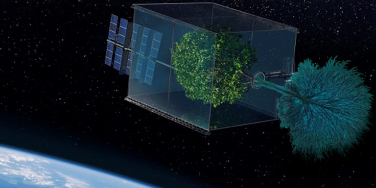 ISI’s David Barnhart and Extreme Agriculture in Outer Space – Space Engineering Research Center